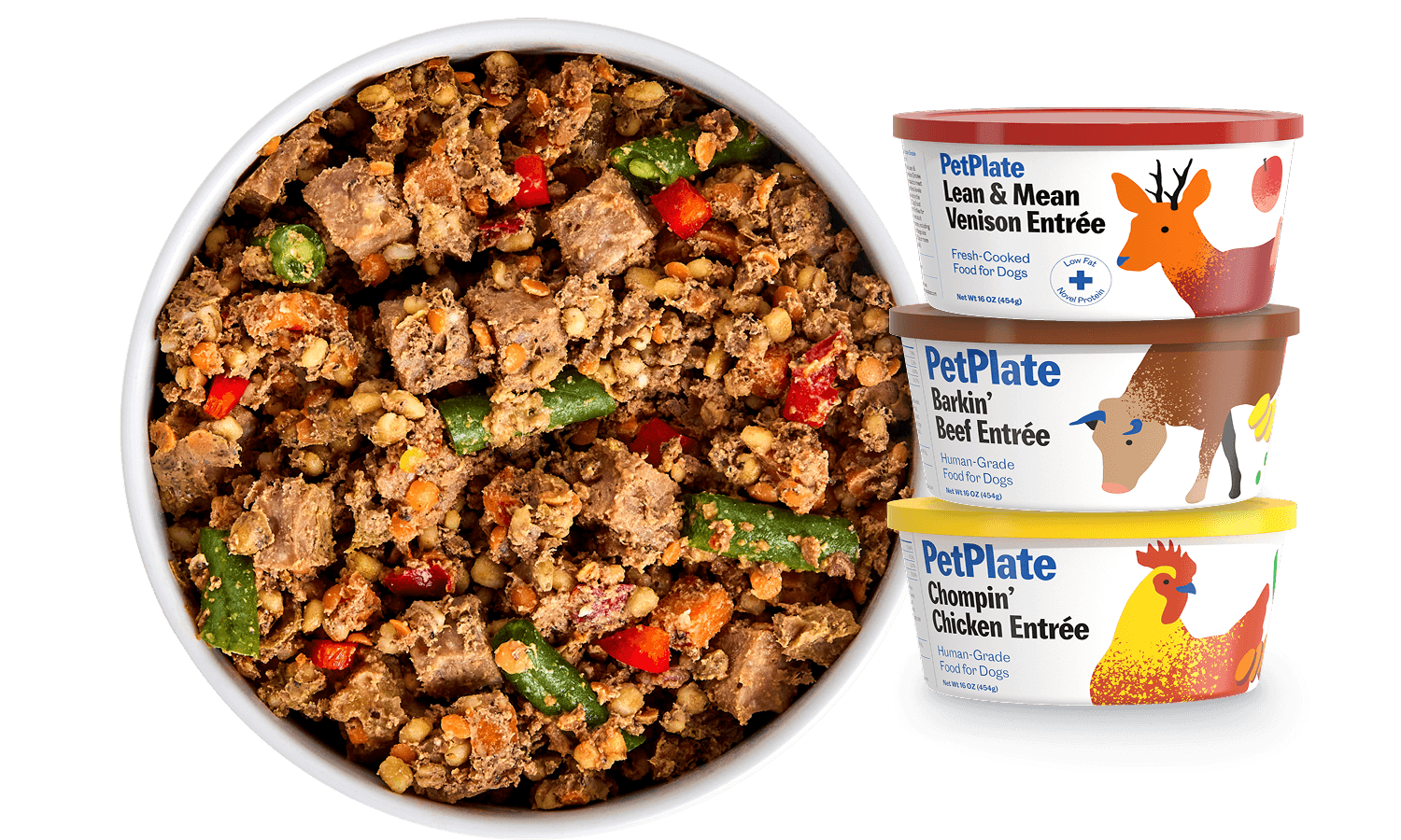 PetPlate: Fresh Dog Food Delivery