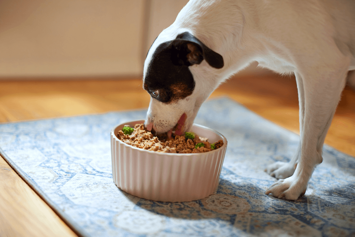 PetPlate: Fresh Dog Food Delivery