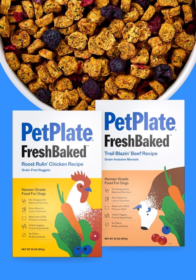 Dog Food Delivery Service: Dog Food Delivered to Your Door