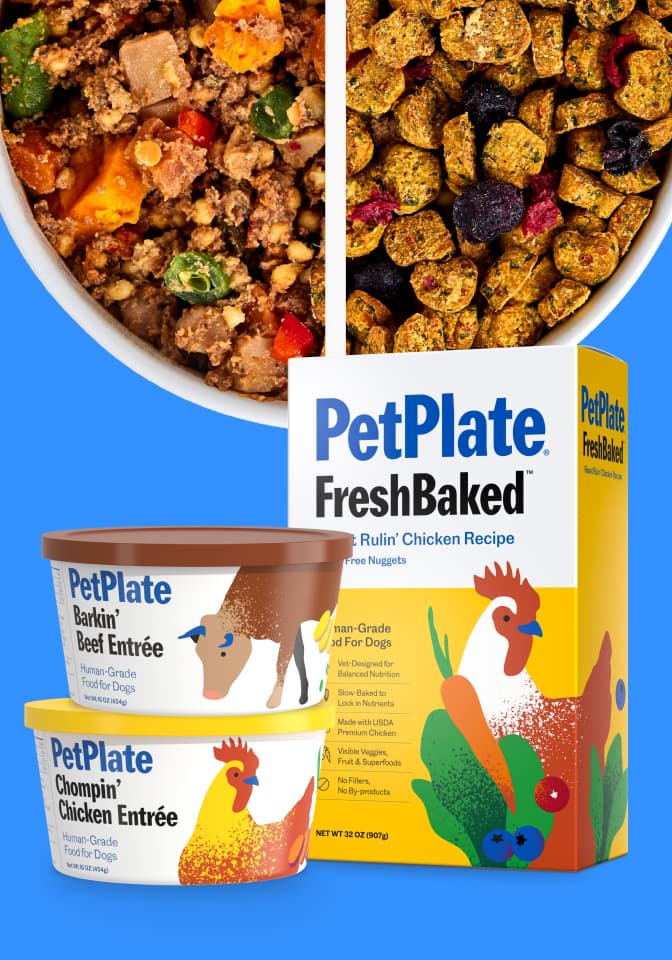 Dog Food Delivery Service: Dog Food Delivered to Your Door