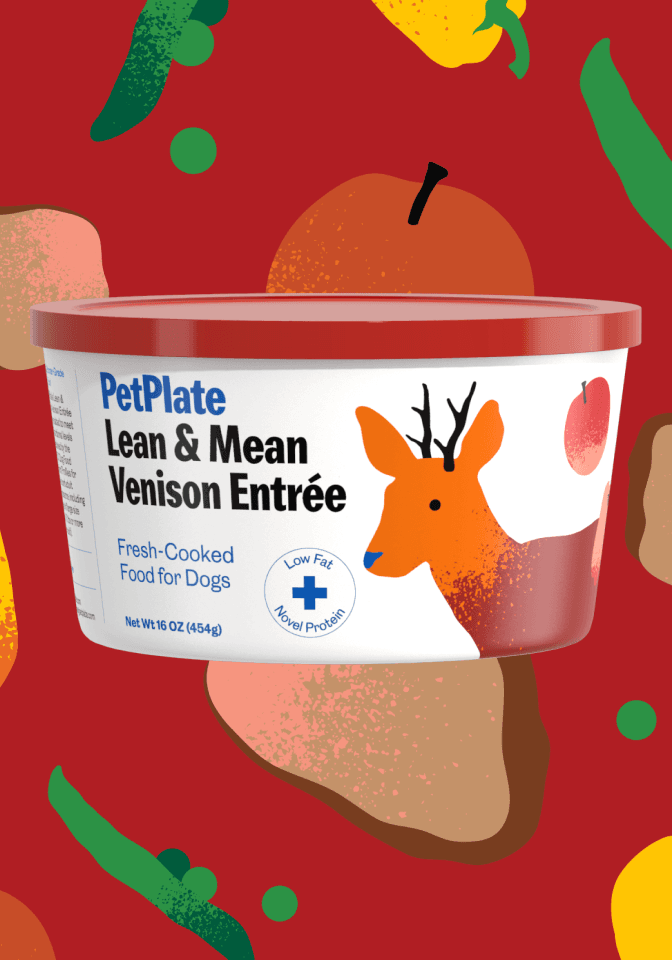 Vet-Recommended Dog Food: Fresh Dog Food Designed by Vets