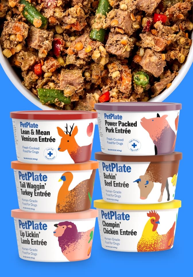 PetPlate: Fresh Dog Food Delivery