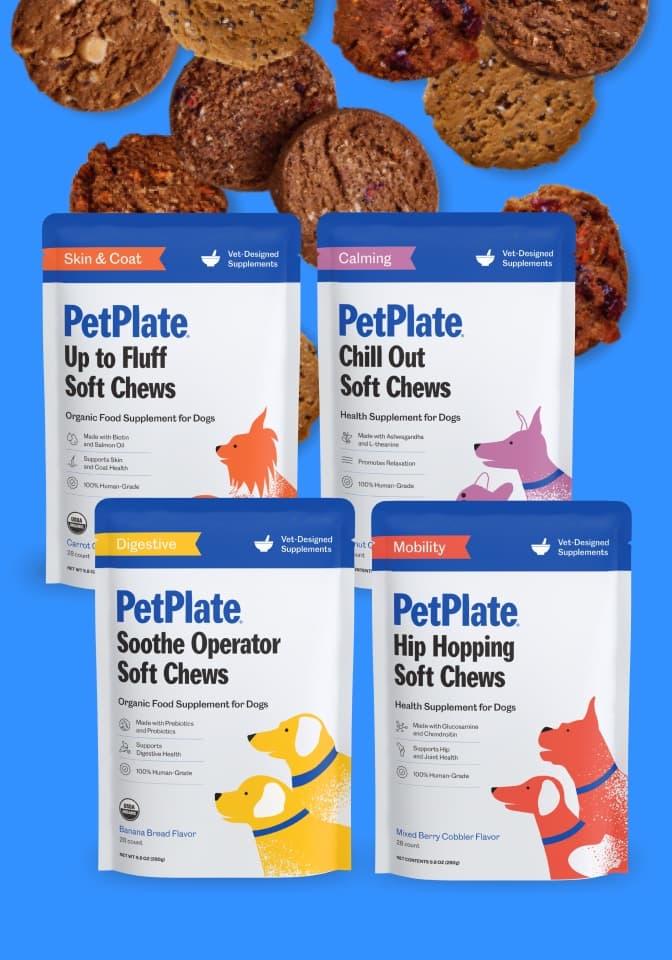 PetPlate: Fresh Dog Food Delivery