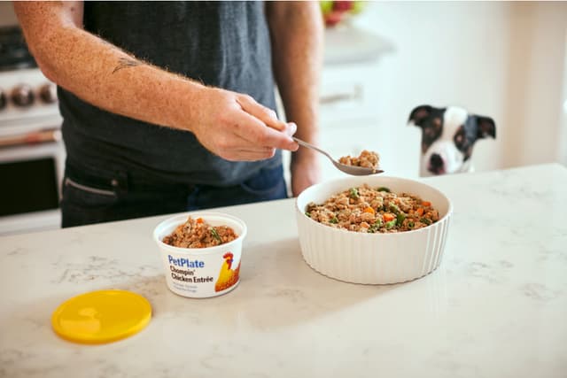 Dog Food with Real Chicken & Vegetables: Chompin’ Chicken