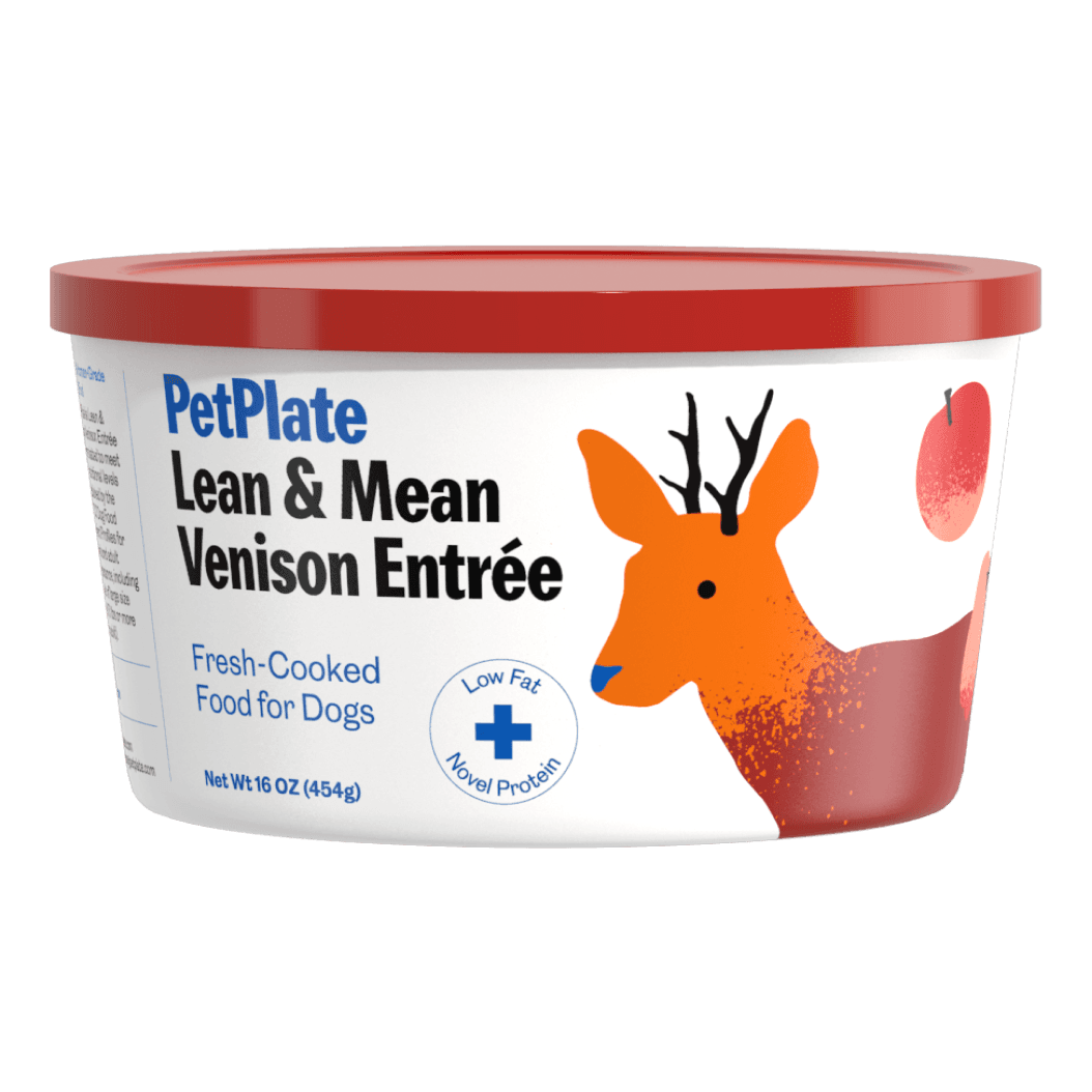 Dog Food with Real Venison & Vegetables: Grateful Gut Venison Entrée