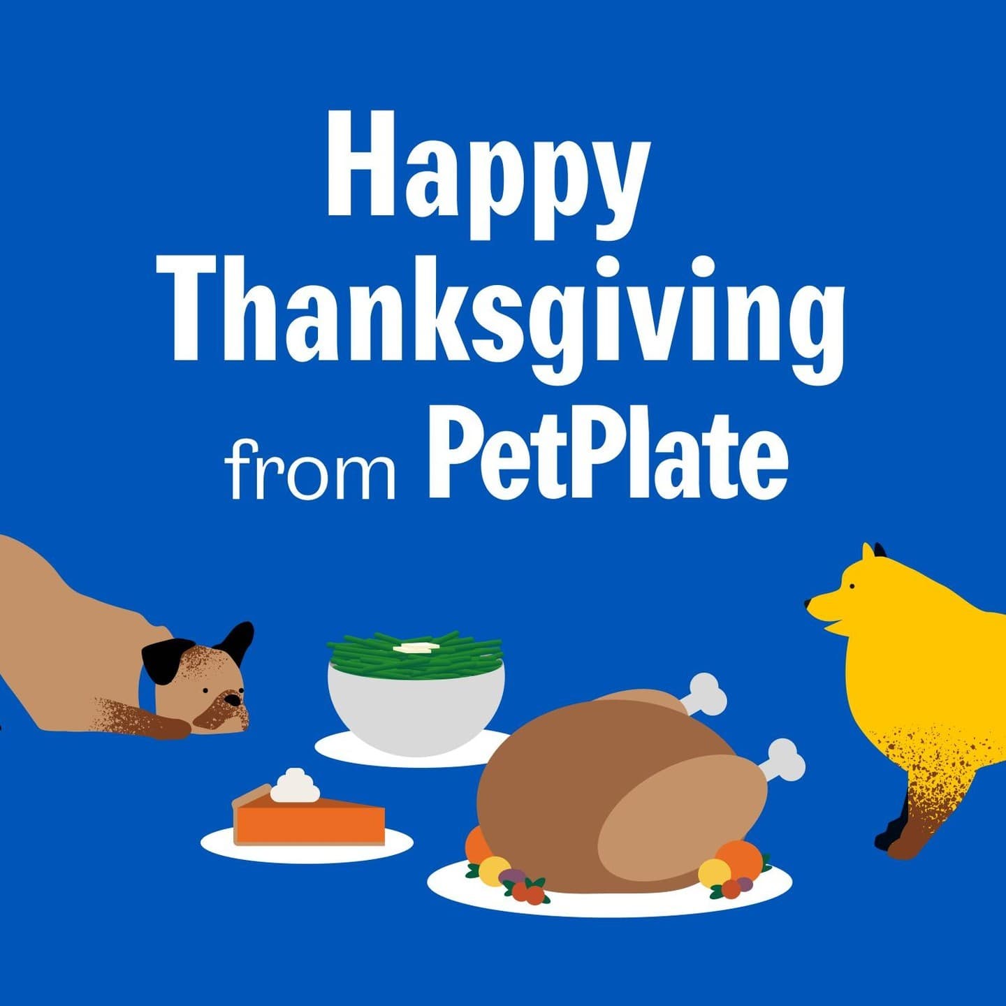 PetPlate: Fresh Dog Food Delivery