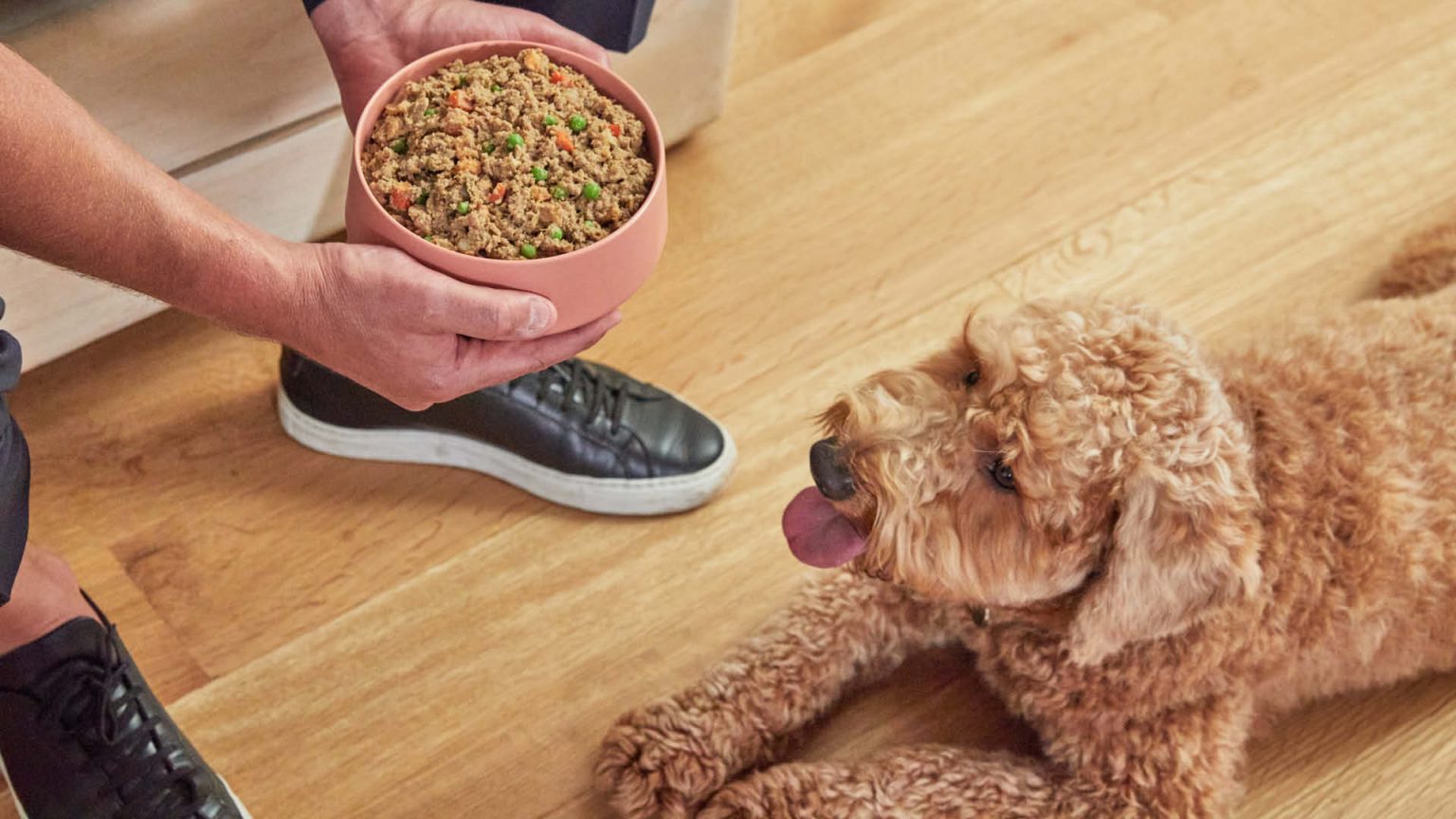 Homemade Dog Food With Beef High Protein Grain Free Recipe PetPlate